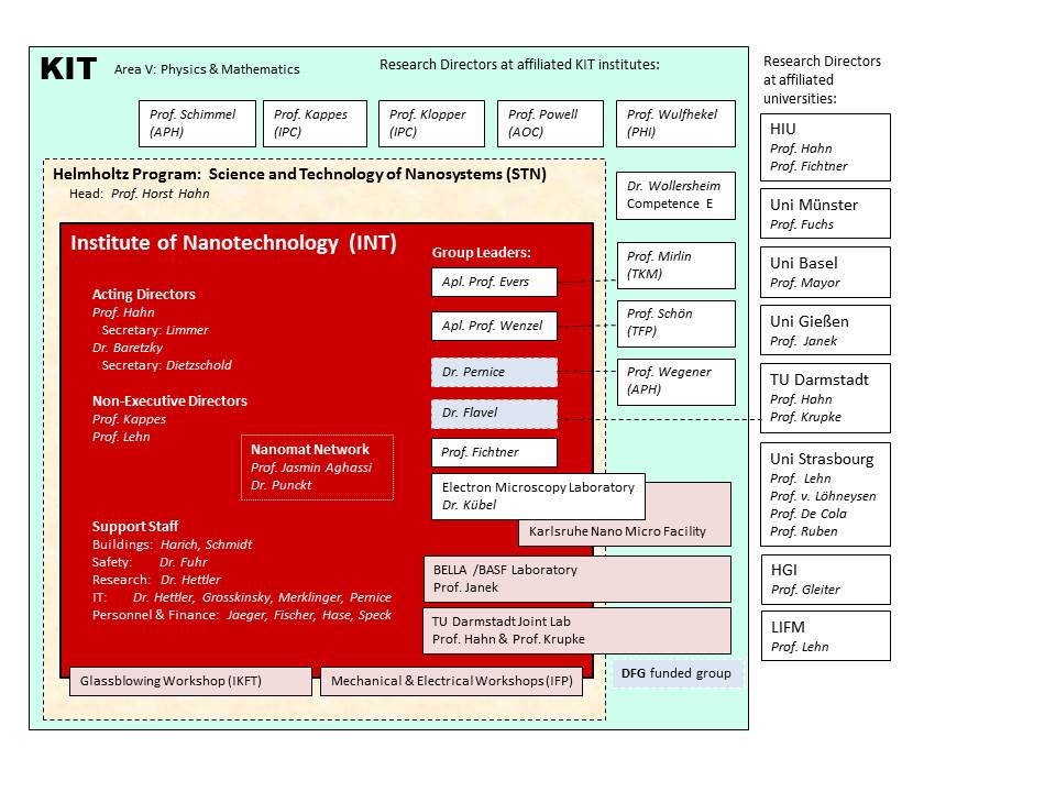 INT- Organizational Structure- Draft